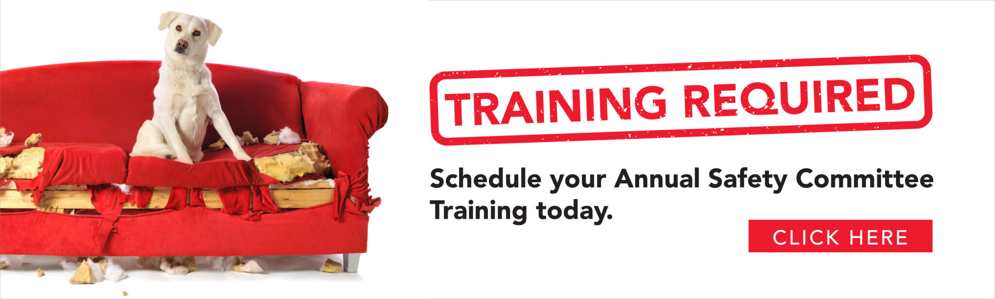 Cm Regent Comprehensive Flexible Coverage Financial Stability